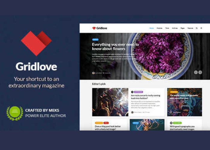 Gridlove Theme WP GPL – News Portal & Magazine WordPress Websites V-2.1 ...